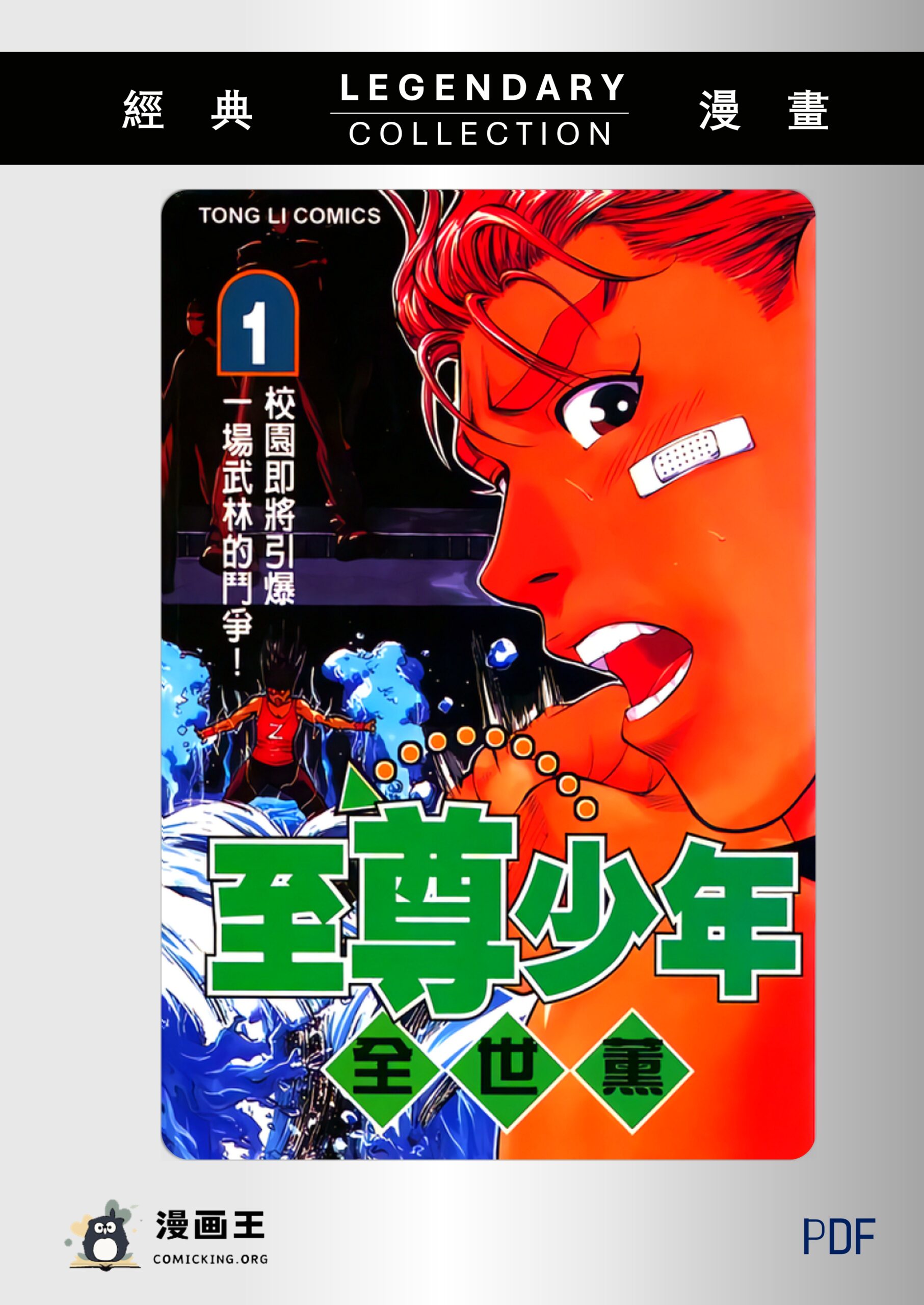 [韩国][2004][至尊少年][全世薰][全19卷][PDF][2.68G]-漫画王